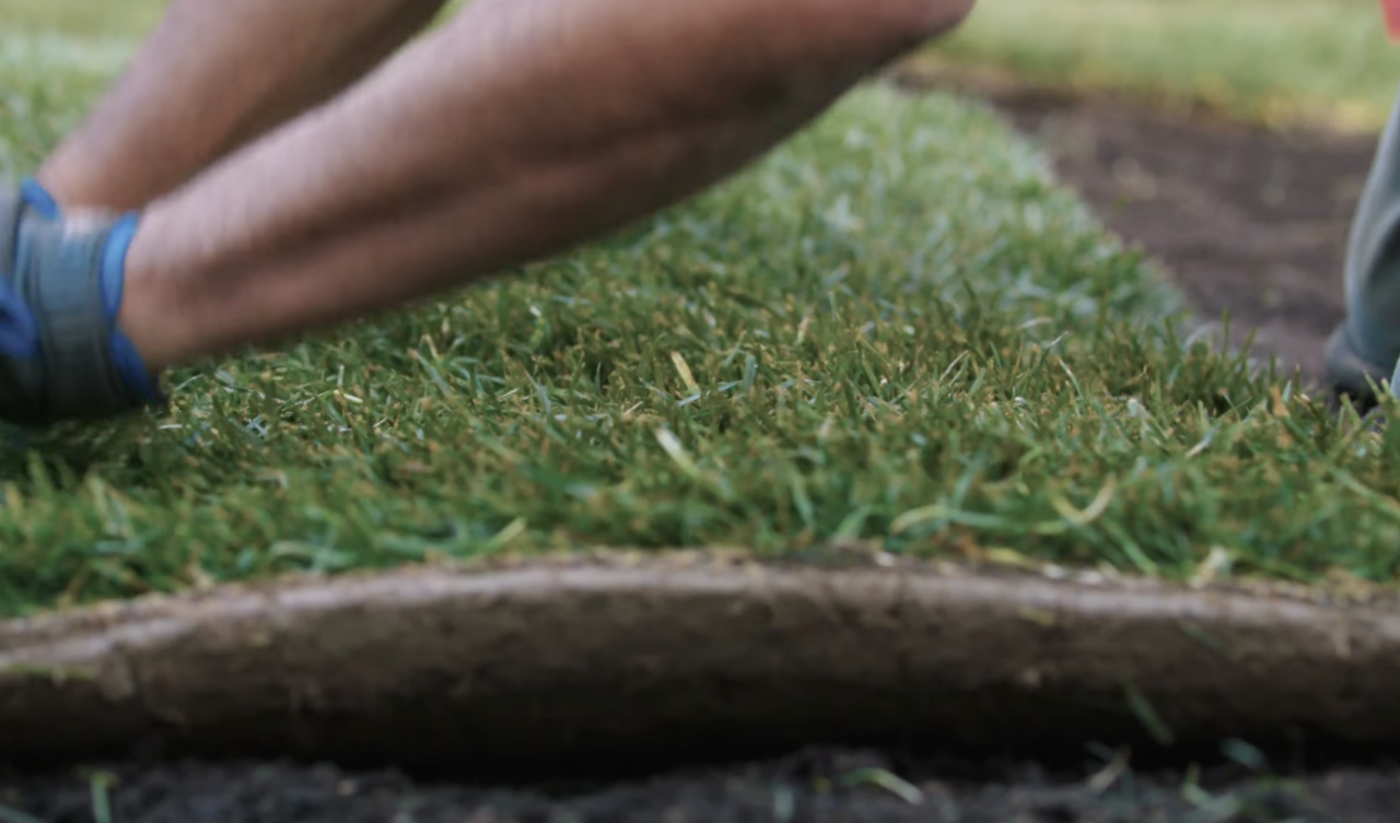 Sod Installation - backyardrevolutionllc.com